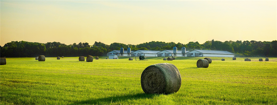 About Sampson County - Sampson County Government